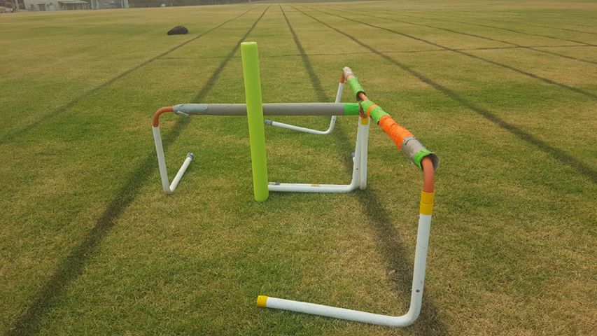 4 New Ideas For Coaching The Hurdles Clearance | Coaching Young Athletes